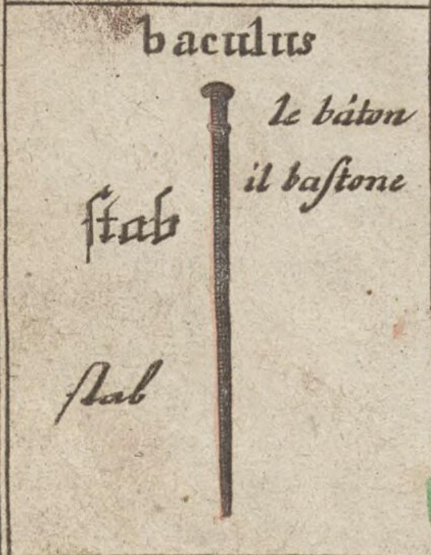 baculus - Latin Visual Dictionary - Neuer Lust-Weg