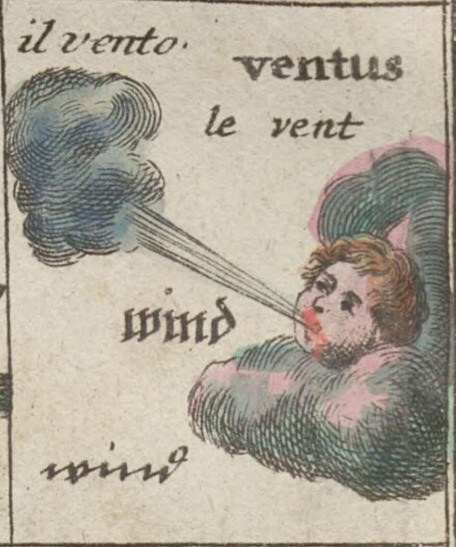 ventus - Latin Visual Dictionary - Neuer Lust-Weg