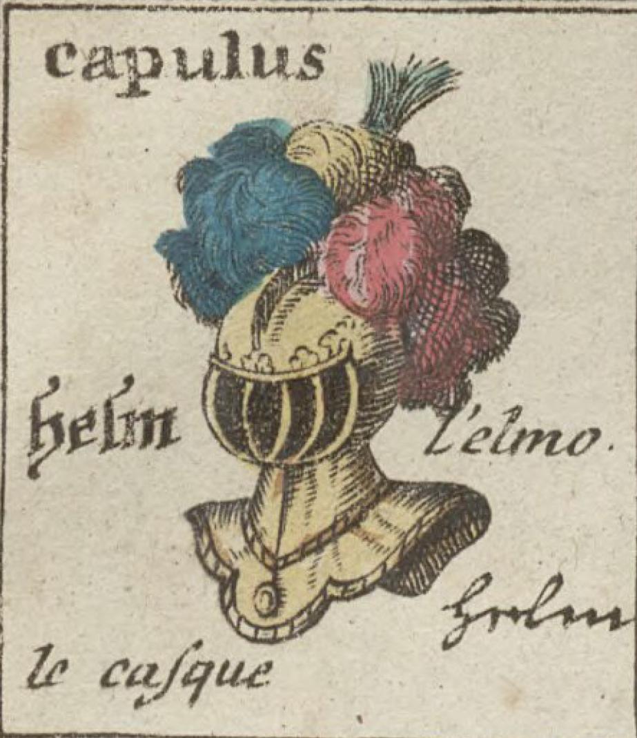 capulus - Latin Visual Dictionary - Neuer Lust-Weg